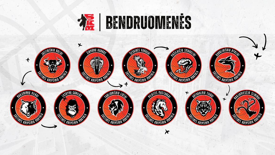 Sostinės krepšinio mokykla